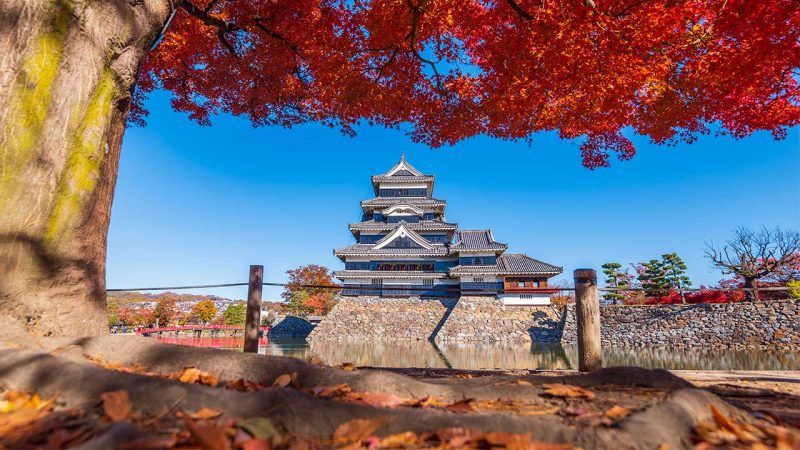 Cursos online de idioma japonés marugoto avanzado (nivel A2B1-1 a B1-6 ...